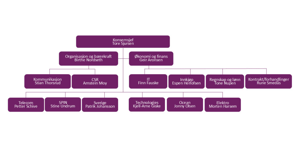 Organisering - OneCo