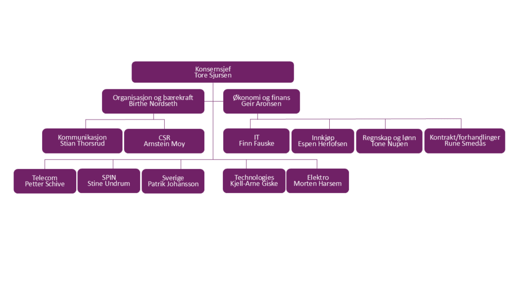 Organisering - OneCo
